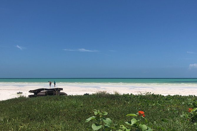 From Holbox to Cancun Private Transportation - Who Should Book This Tour?