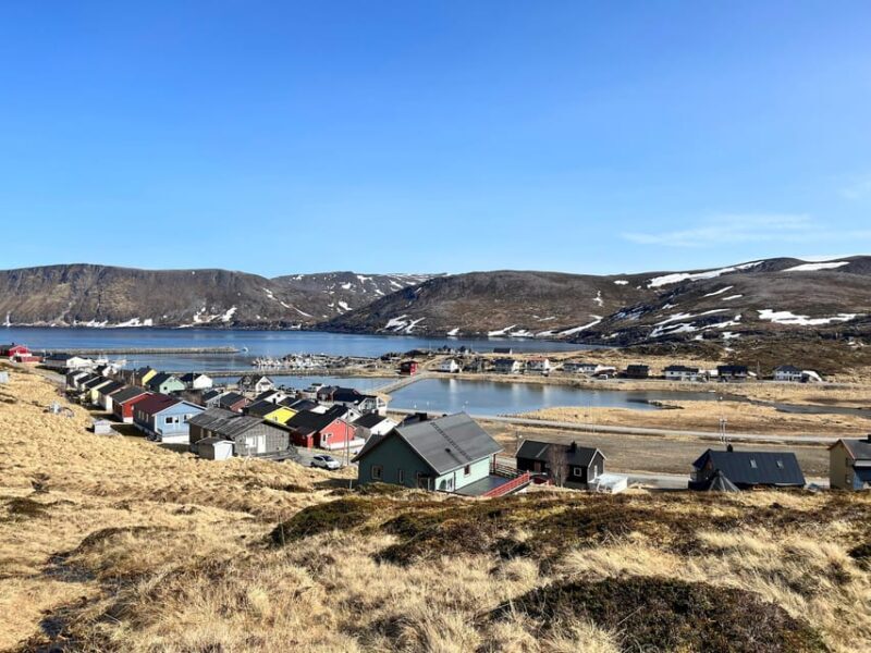 From Honningsvåg: VIP North Cape and Kingcrab Tour - Who Will Love This Tour?