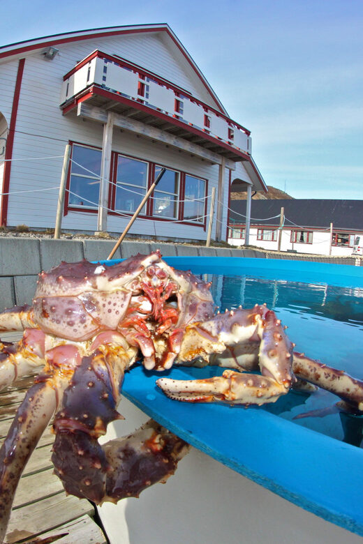 From Honningsvåg: VIP North Cape and Kingcrab Tour - Frequently Asked Questions