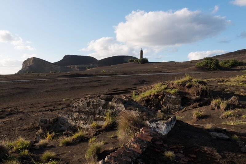 From Horta: Guided Faial Island Tour - Who Will Love This Tour?
