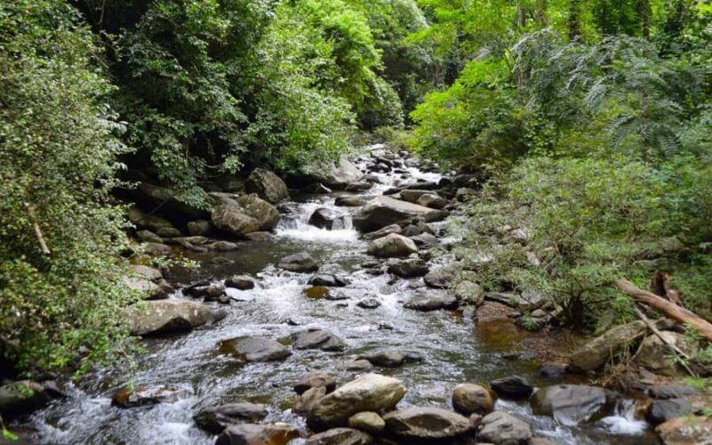From Hua Hin: Pala U Waterfall and Huay Mongkol Temple Tour - Introduction