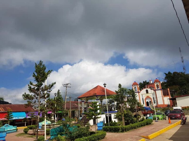 From Huatulco: 3 Levels, Coffee, Culture, and Nature Tour - Why This Tour Might Be Perfect for You