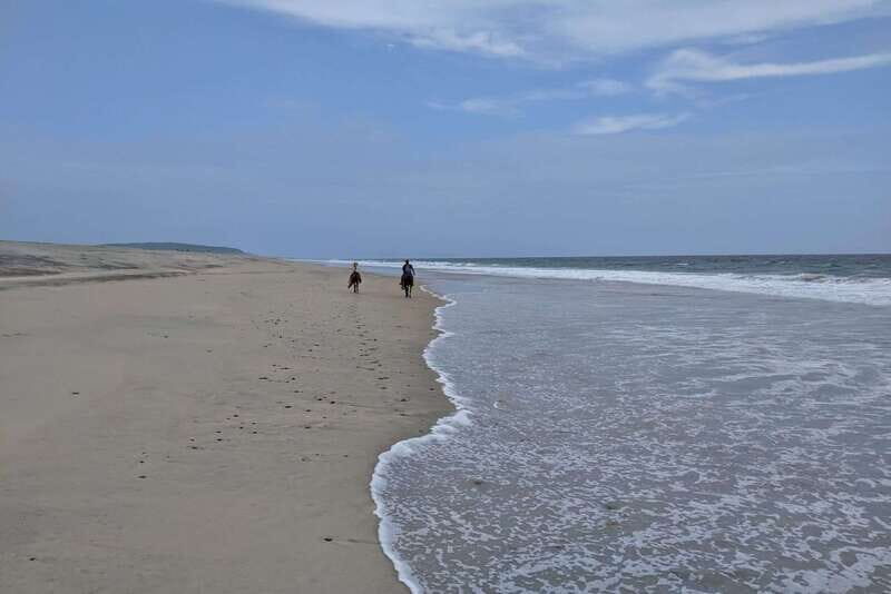 From Huatulco: Beach Horseback Riding Experience - Authentic Experiences and Local Flavor