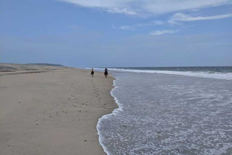 From Huatulco: Beach Horseback Riding Experience - Who Should Consider This Tour