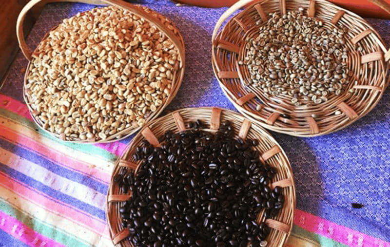 From Huatulco: Coffee and Mezcal Tour - Discovering Oaxaca’s Mountain Flavors: A Deep Dive into the Coffee and Mezcal Tour from Huatulco