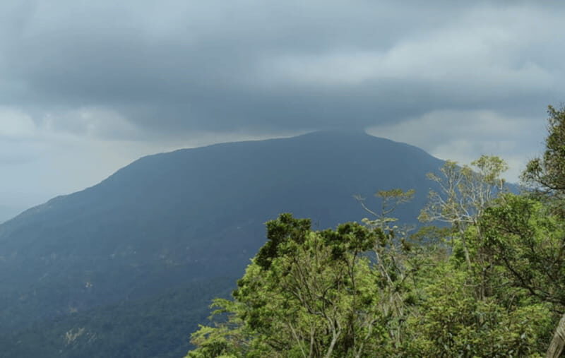 From Huatulco: Coffee and Mezcal Tour - Key Points