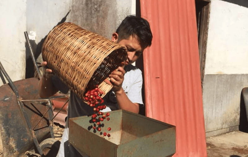 From Huatulco: Coffee and Mezcal Tour - Practical Details