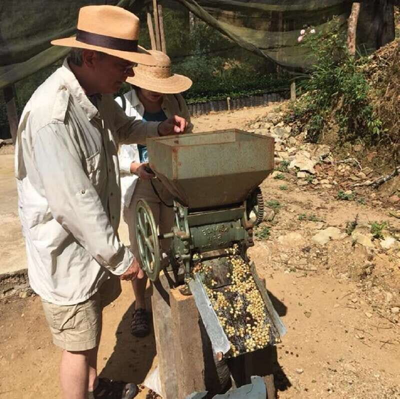 From Huatulco: Coffee Private Experience - A Thoughtful Look at the Tour Itinerary