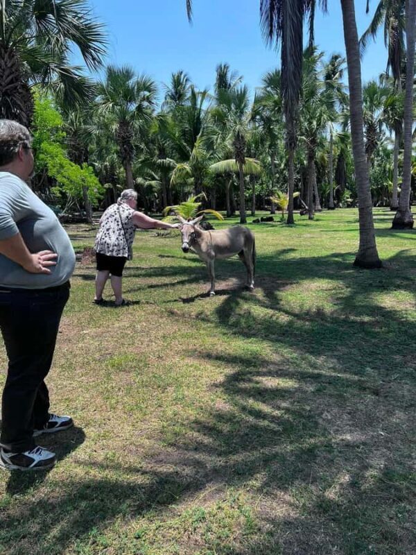 From Huatulco: Crocodiles and Turtles Eco Day-Tour - Key Points