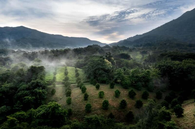 From Huatulco: Exotic garden on an ecotourism ranch and a visit to a viewpoint - The Practicalities: What to Know