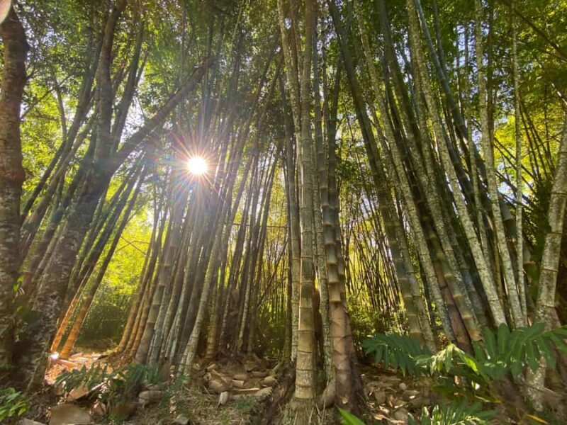 From Huatulco: Exotic garden on an ecotourism ranch and a visit to a viewpoint - FAQ