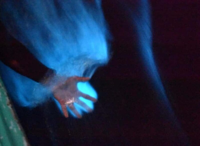 From Huatulco: Magical Bioluminescence Experience - Authenticity and Reviews