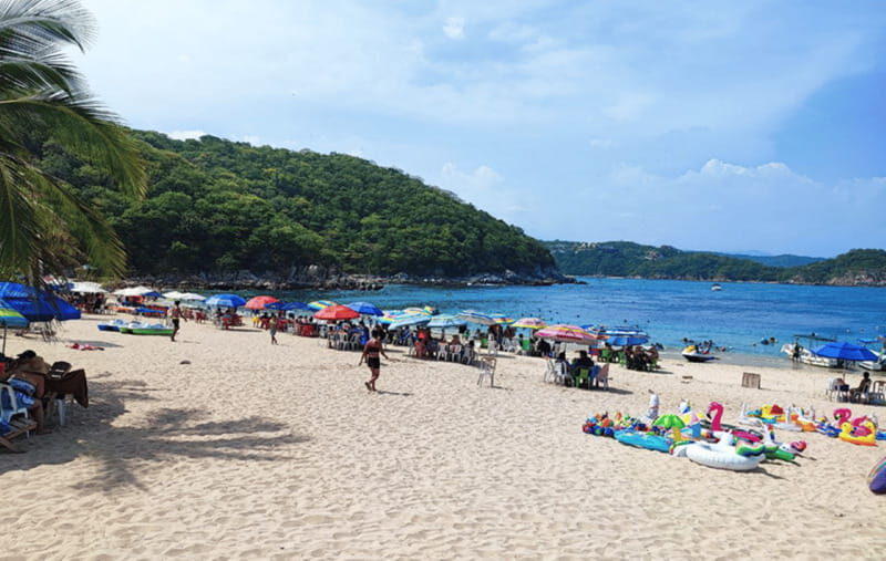 From Huatulco: Snorkel and La Entrega Beach Visit - The Sum Up