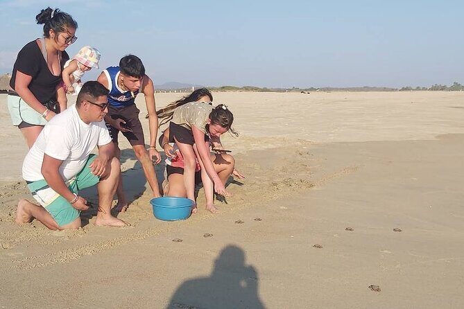 From Huatulco: Turtle Release & Bioluminescence - FAQ