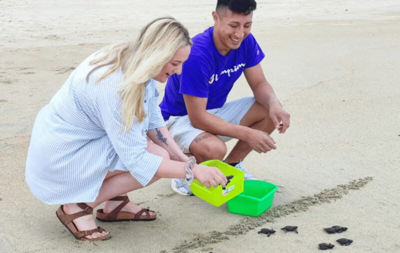 From Huatulco:Turtle Release and Bioluminescence Tour - What’s Included, What’s Not