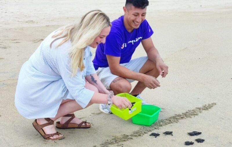 From Huatulco:Turtle Release and Bioluminescence Tour - The Sum Up