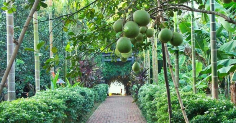 From Hue: 1 day COOKING CLASS IN THUY BIEU VILLAGE - Key Points