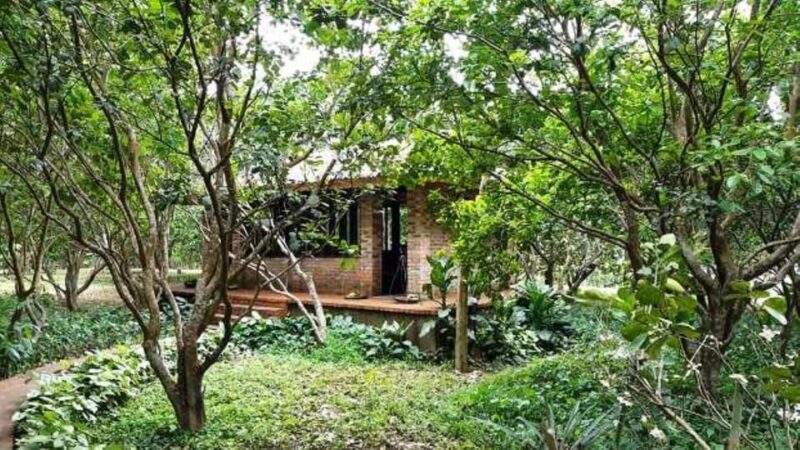 From Hue: 1 day COOKING CLASS IN THUY BIEU VILLAGE - Authenticity and Traveler Reviews