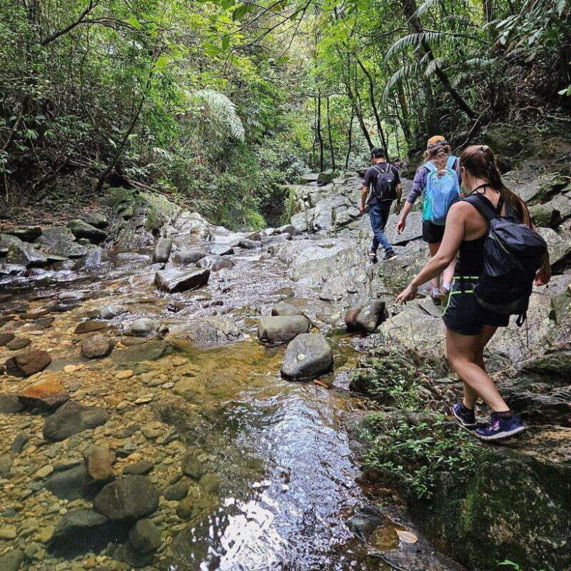 From Hue : Bach Ma National Park Luxury Trekking Tour - Practical Tips for Participants