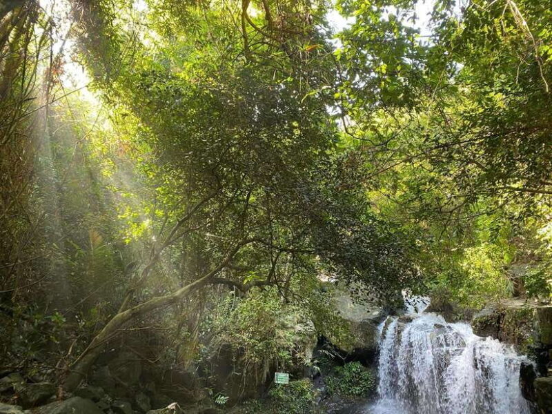 From Hue: Botanic Garden, Paradise Cave, and Dark Cave Tour - Key Points