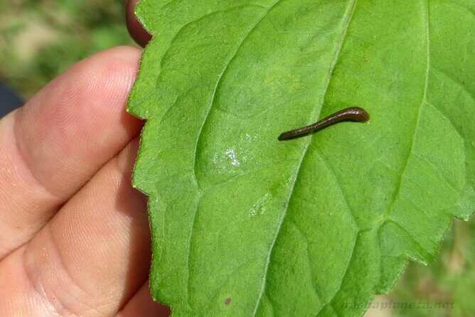 From Hue City: Private Hiking Day Trip at Bach Ma National Park - FAQ