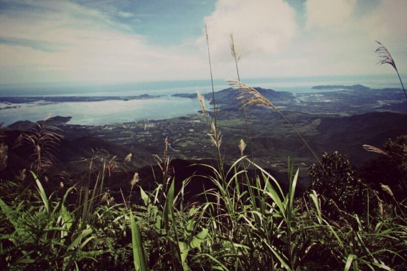 From Hue/Da Nang/Hoi An: Bach Ma National Park Trekking Tour - The Practicalities: What to Expect and Prepare For