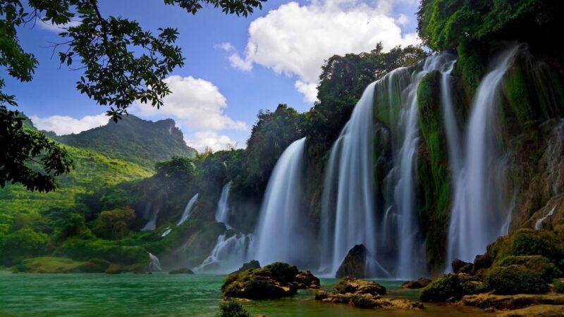 From Hue/Da Nang/Hoi An: Bach Ma National Park Trekking Tour - The Sum Up