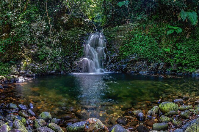 From Hue : Discover the Wonders of Bach Ma National Park - Exploring the Itinerary in Depth