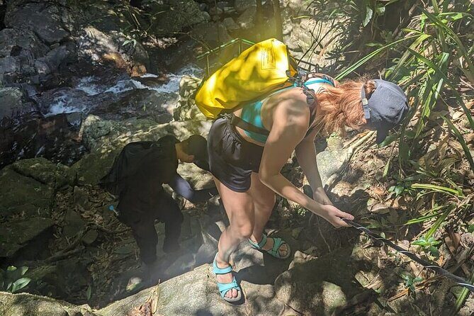 From Hue : Discover the Wonders of Bach Ma National Park - The Practical Side: Transportation, Timing, and Group