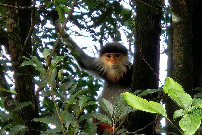 From Hue : Discover the Wonders of Bach Ma National Park - The Sum Up