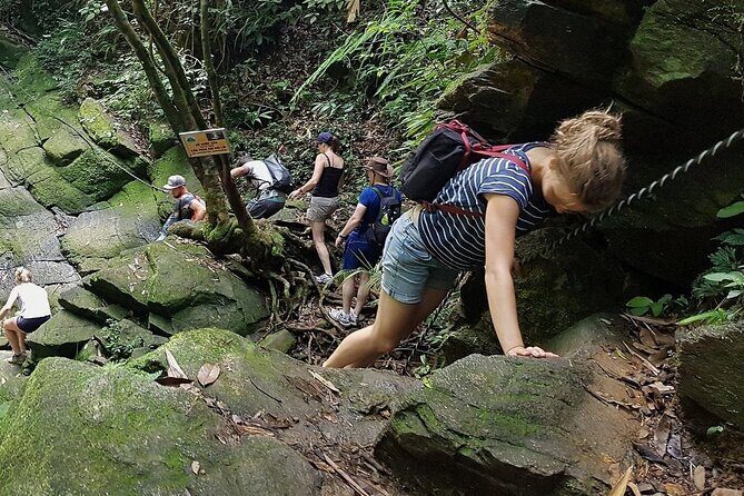 From Hue: Trekking Adventure to Bach Ma National Park - Authenticity and Value