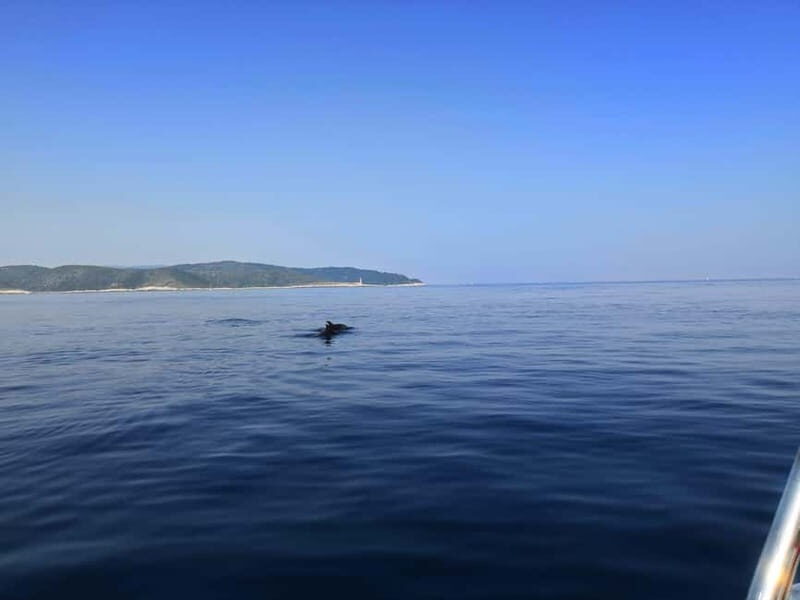 From Hvar: Unforgetable Tour to the Island Vis and Blue Cave - Who Is This Tour Best Suited For?