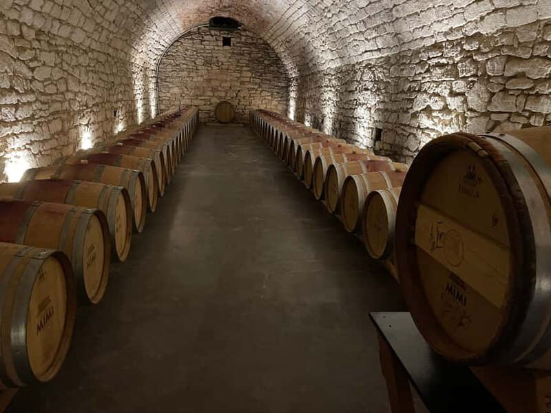 From Iai: Mimi Castle Wine Tasting Day Trip - Practical Details and Experience Quality