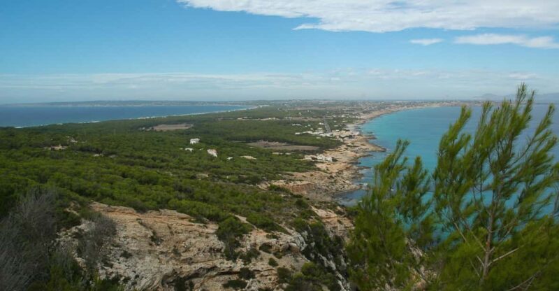 From Ibiza: Ferry and Guided Bus Excursion in Formentera - Key Points