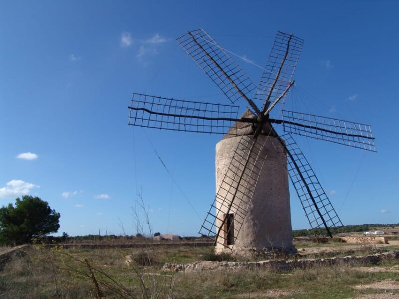 From Ibiza: Ferry and Guided Bus Excursion in Formentera - Authentic Experiences & Practical Details