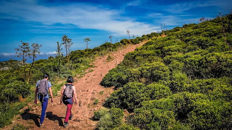 From Iglesias: jeep tour with trekking - Key Points