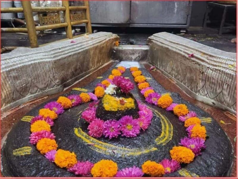 From Indore:- Full Day Omkareshwar Jyotirlinga Guided Tour - Price and Value