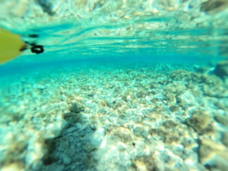 From Inmood Hotel Alcanada. Kayaking Guided Route Island - Final Thoughts