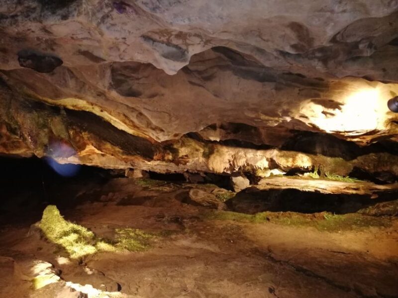 From Interlaken: Beatus Caves, Blue Lake and Lake Thun Tour - Blue Lake (Blausee): A Natural Jewel