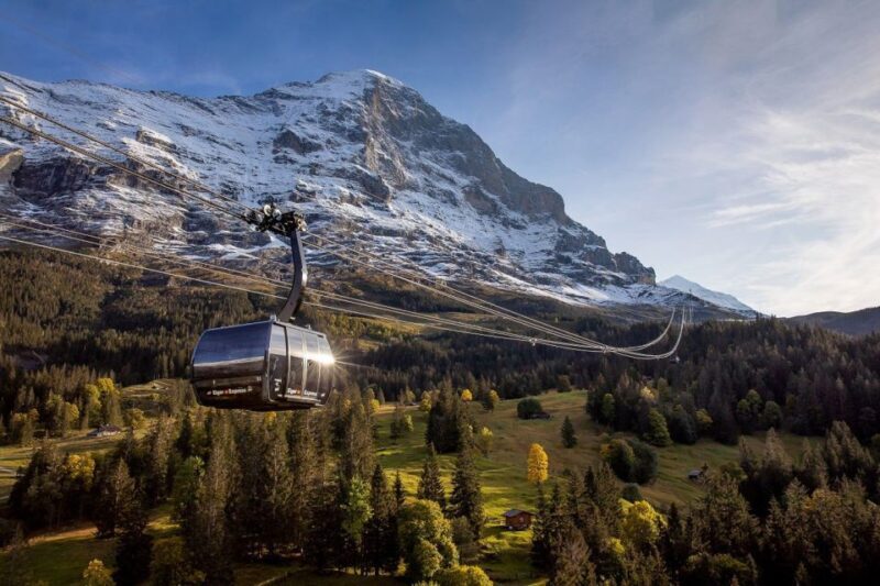 From Interlaken: Day Trip to Jungfraujoch by Bus and Train - An In-Depth Look at the Tour Experience
