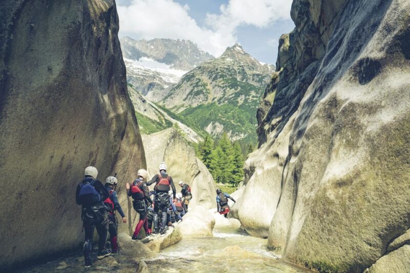 From Interlaken: Grimsel Gorge Canyoning Tour - Who Will Love This Tour?