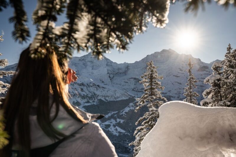 From Interlaken: Guided Snowshoe Tour - Key Points