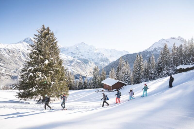 From Interlaken: Guided Snowshoe Tour - Practical Considerations
