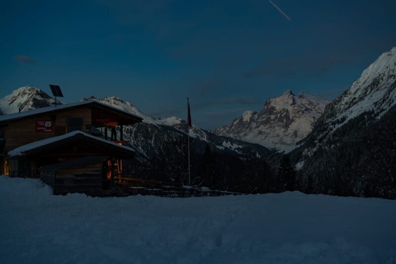 From Interlaken: Night Sledding with Cheese Fondue Dinner - Who Should Consider This Tour?