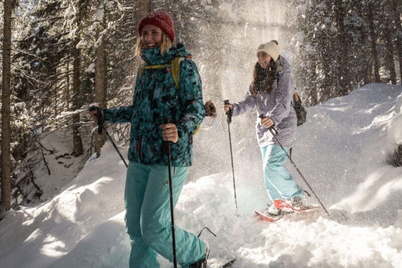 From Interlaken: Wetterhorn Trail Snowshoe Hiking Tour - Key Points
