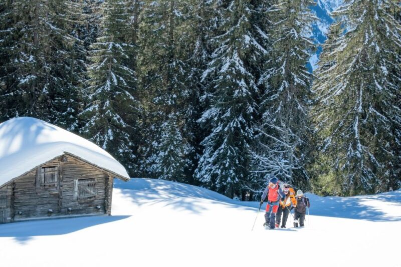 From Interlaken: Wetterhorn Trail Snowshoe Hiking Tour - A Closer Look at the Wetterhorn Snowshoe Tour