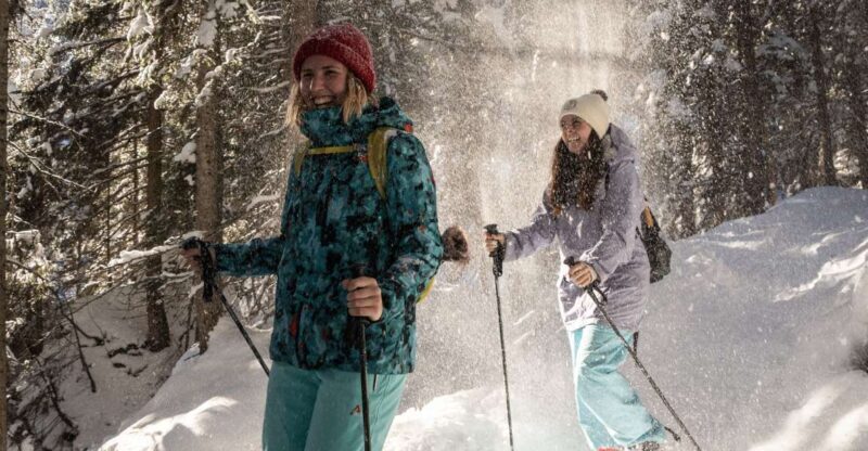 From Interlaken: Wetterhorn Trail Snowshoe Hiking Tour - Who Should Consider This Tour?