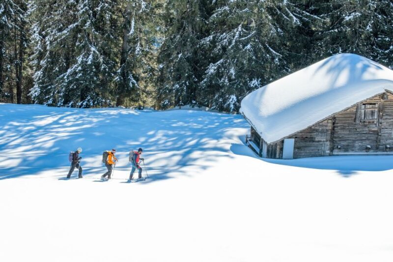 From Interlaken: Wetterhorn Trail Snowshoe Hiking Tour - Final Thoughts