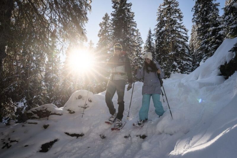 From Interlaken: Wetterhorn Trail Snowshoe Hiking Tour - FAQ