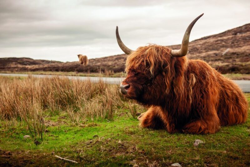 From Inverness: 3-Day Orkney Explorer - Traveling in Comfort and Style